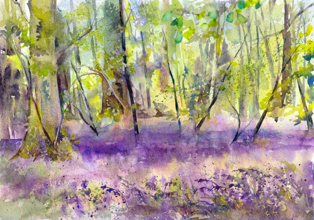 Bluebell wood Watercolour by Anjana Cawdell | Artfinder