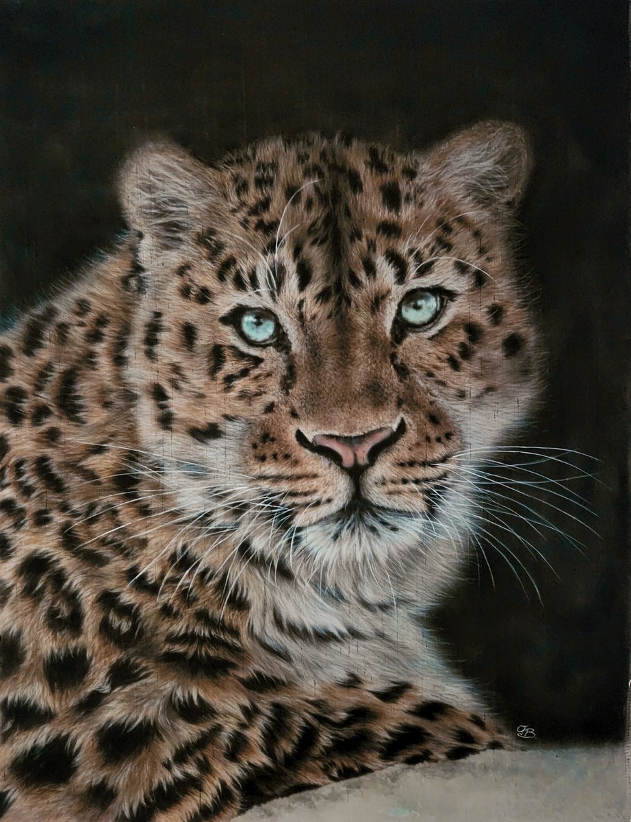 Night Leopard Acrylic painting: Olga Belova | Artfinder