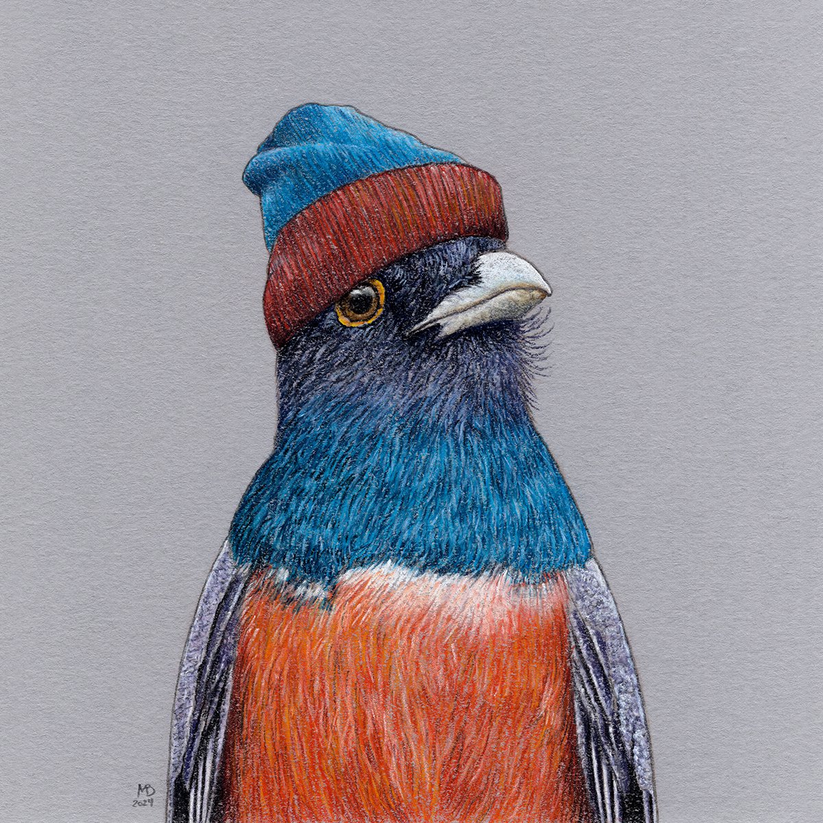 Blue-crowned trogon Pastel drawing by Mikhail Vedernikov | Artfinder