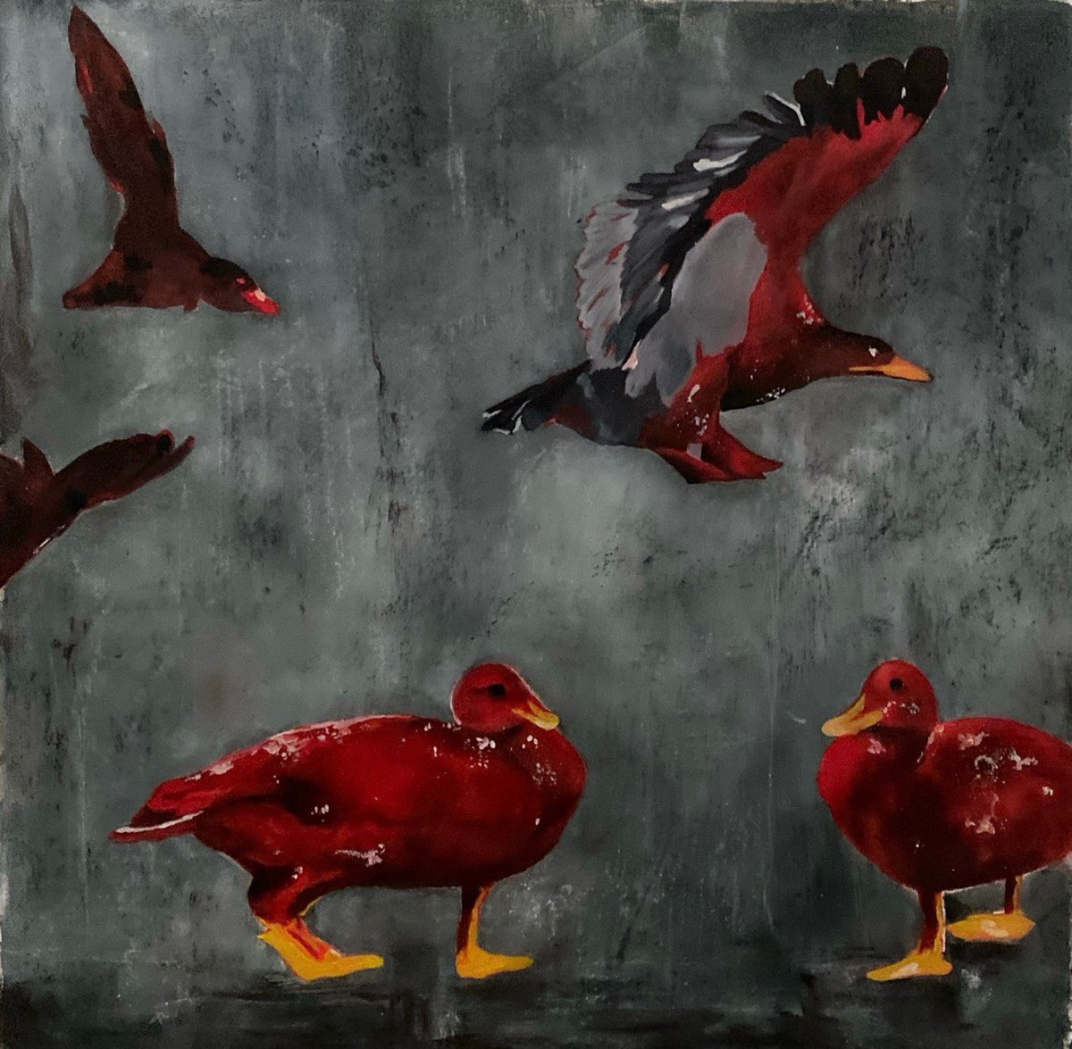 Biards 60X60 (2024) Oil painting by Elena Troyanskaya | Artfinder
