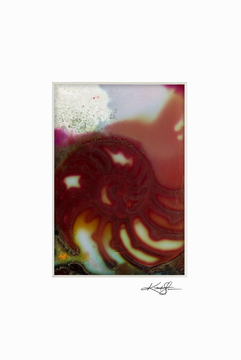 Nautilus Shell 18 Mixed-media painting by Kathy Morton Stanion | Artfinder