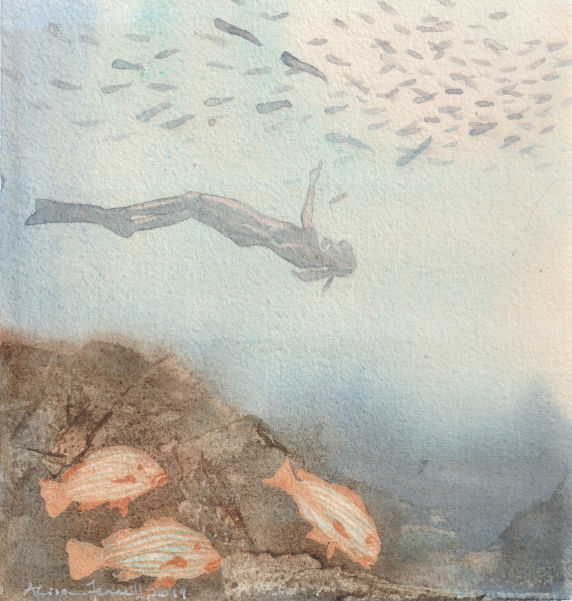 Diver Deep Watercolour: Alison Fennell | Artfinder