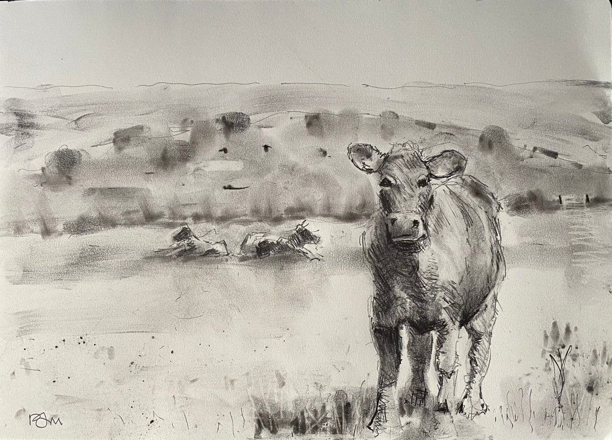 Cattle in the top field Pencil drawing: Paul Mitchell | Artfinder