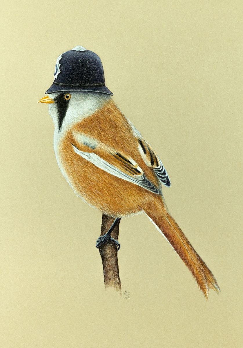 Original pastel drawing bird "Bearded reedling" Pastel drawing: Mikhail ...