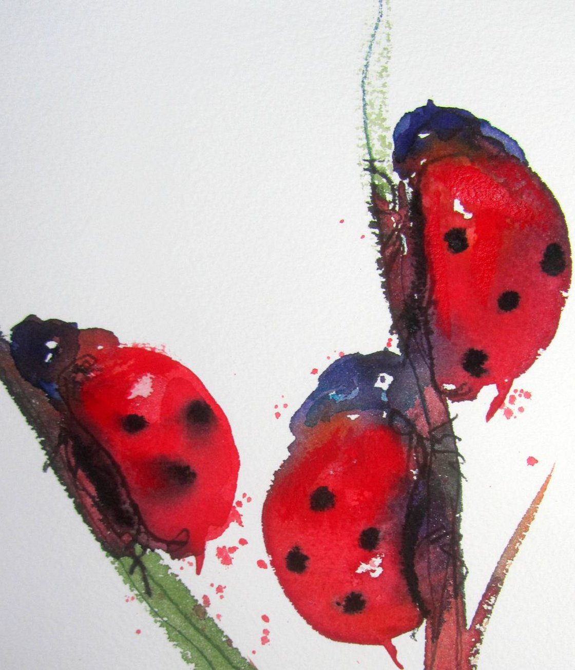 Ladybirds 1 Watercolour by Violeta Damjanovic-Behrendt | Artfinder