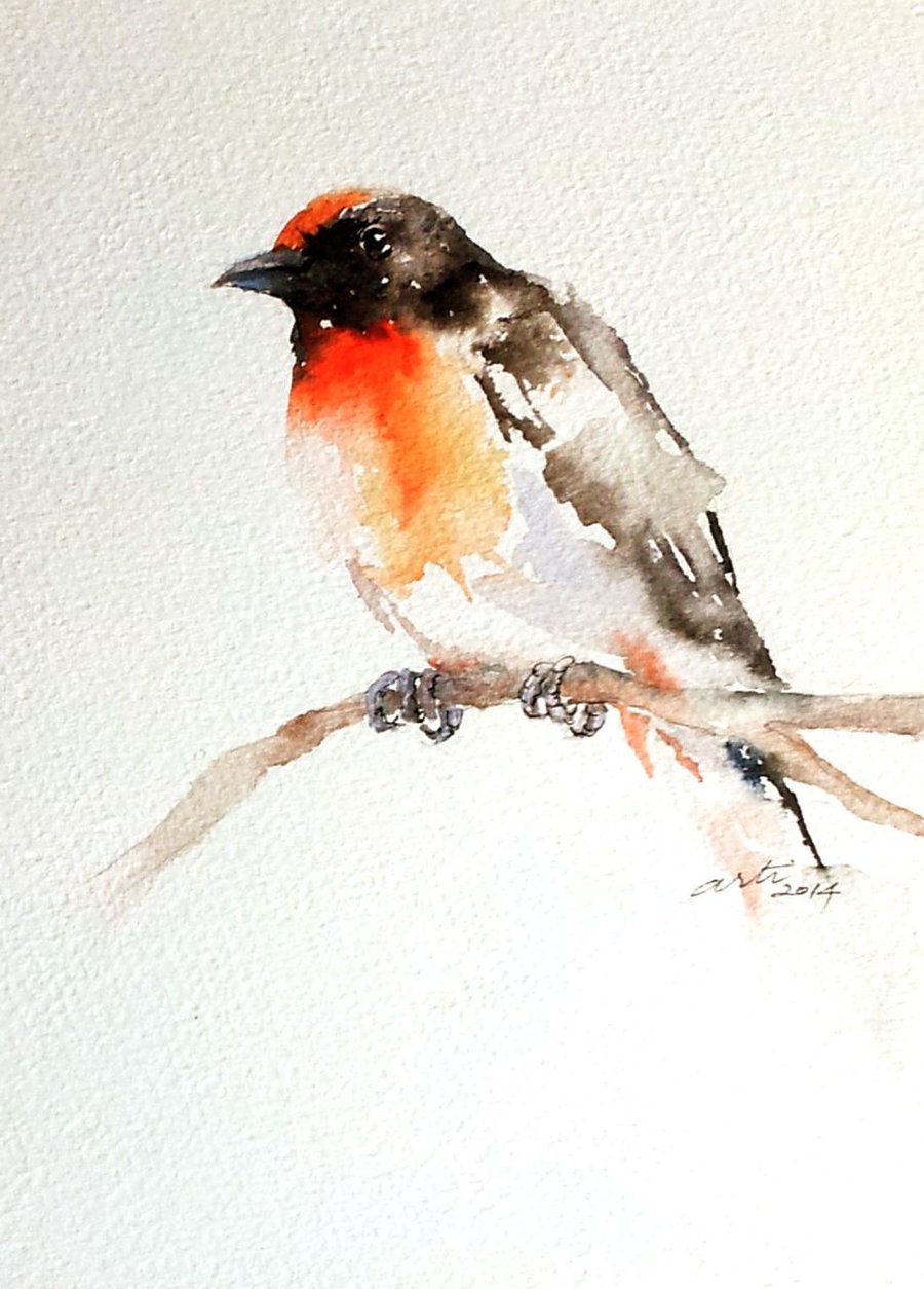 Red Capped Robin Painting by Arti Chauhan | Artfinder