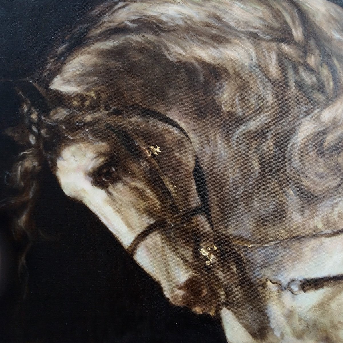 Studiu cap cal Oil painting by Sebastian Beianu | Artfinder