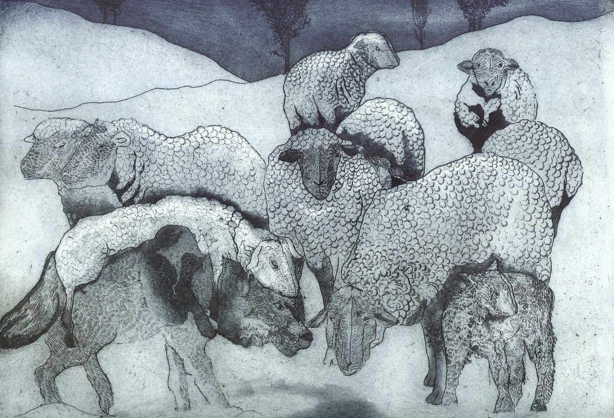 Feeling Sheepish Etching / Engraving: Jane Daniell | Artfinder