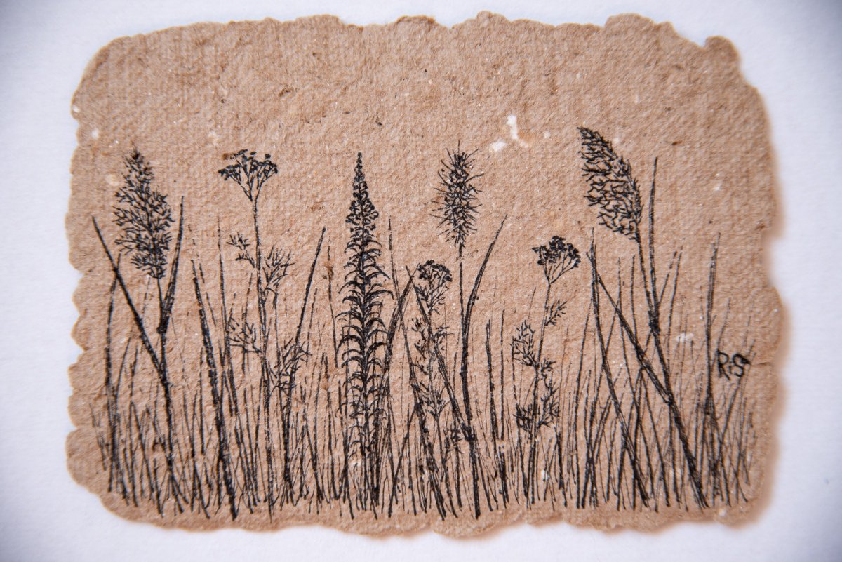 Field grasses simple line Ink drawing: Rimma Savina | Artfinder