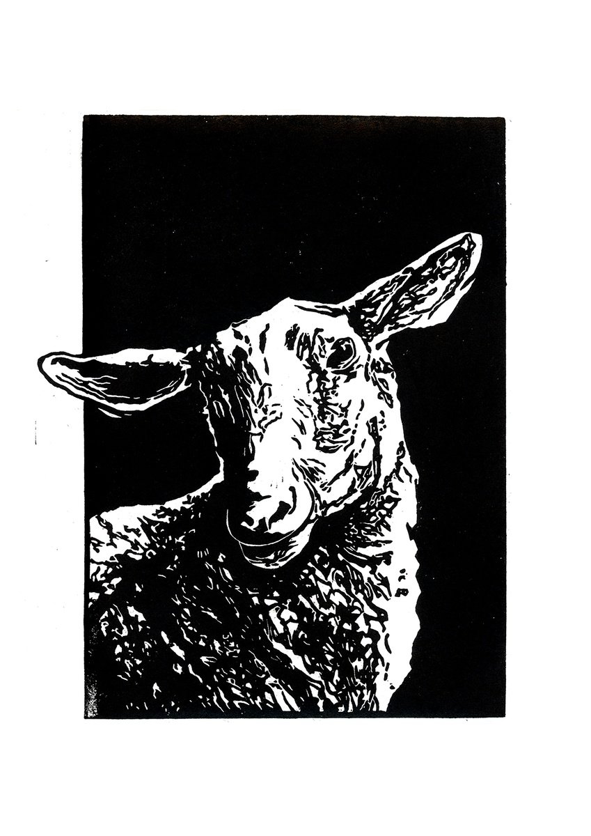 Sheep Linocut: Bob Cooper | Artfinder